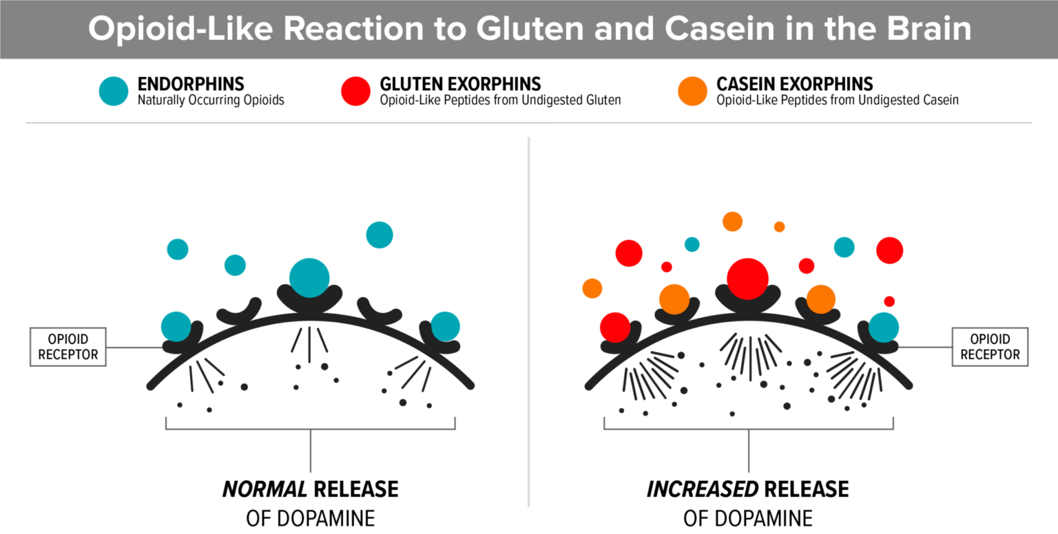 Top Reasons to Implement a GFCF Diet - The Autism Community in Action
