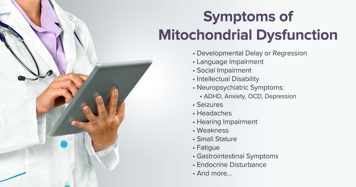 Mitochondrial Dysfunction in Autism: Testing and Treatments - The ...