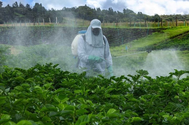 Avoiding Toxins - The Autism Community in Action