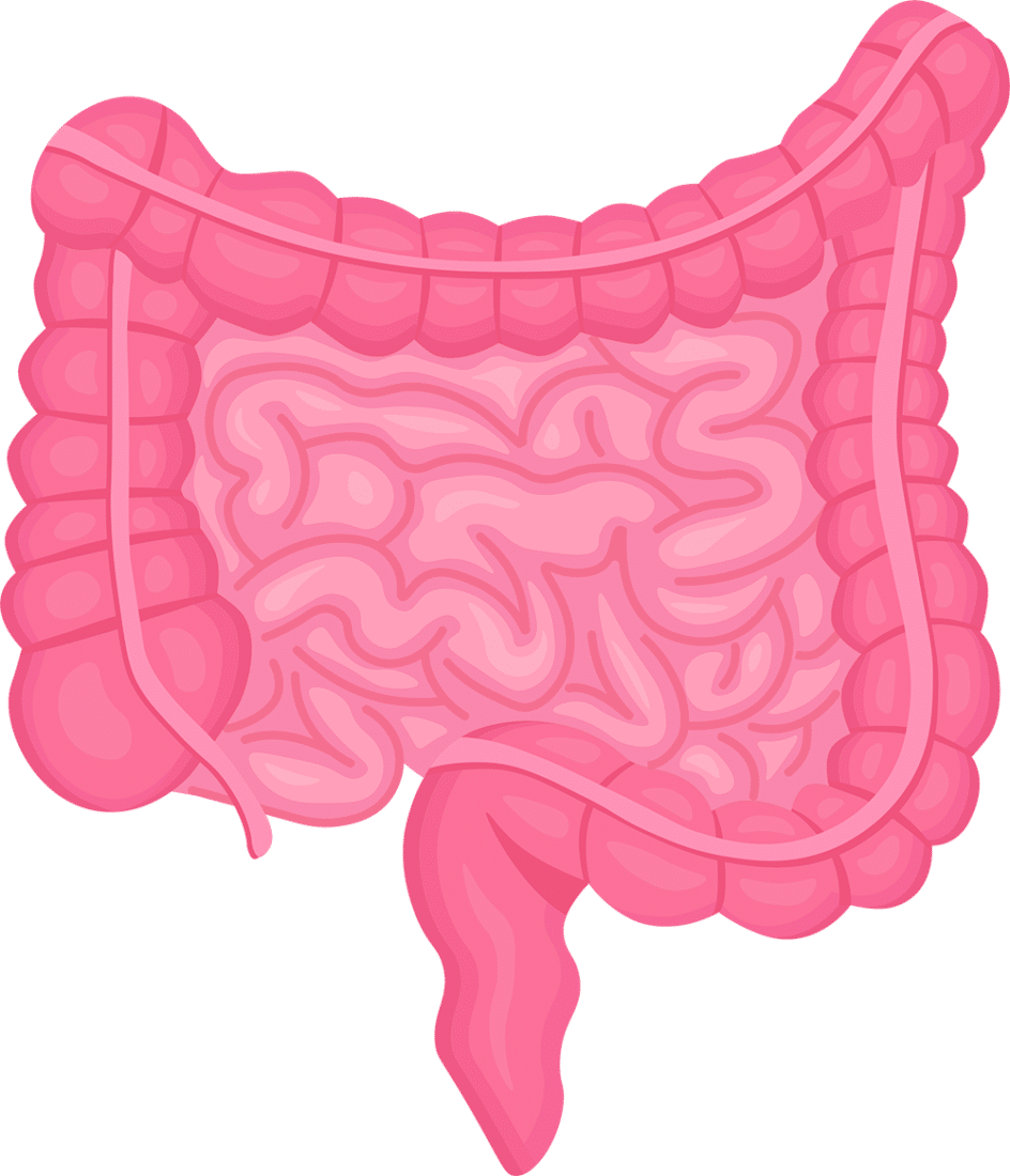Monthly Learning Series: GI Issues - The Autism Community in Action