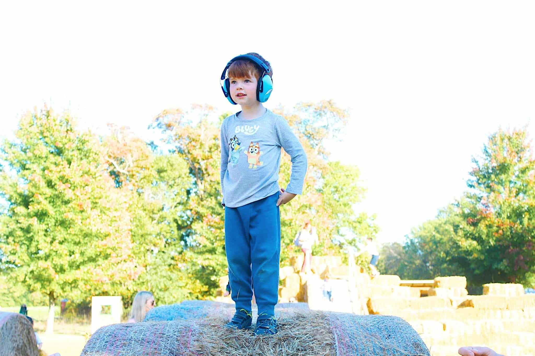 From Silence to Speech: Anderson's Remarkable Journey with the LAMP App ...